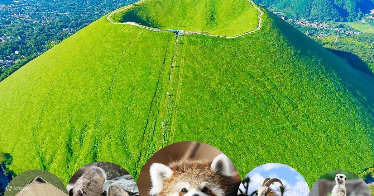 [Summer Limited] Atami Kinomiya Shrine, Izu Omuroyama, Cactus Zoo, and ...